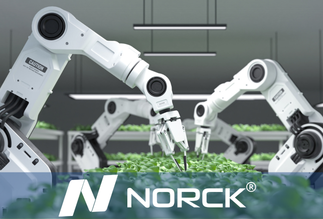 Norck: AI-Powered Transformation in Custom Manufacturing